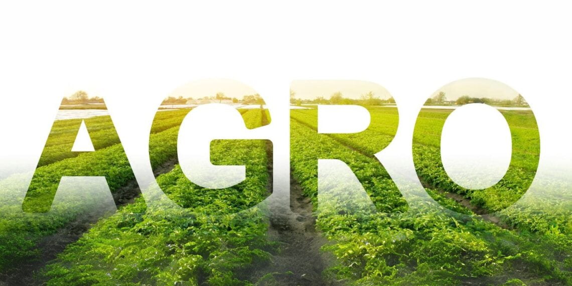 Entenda as Diferenças Entre FIAGRO-FII, FIAGRO-FIDC e FIAGRO-FIP